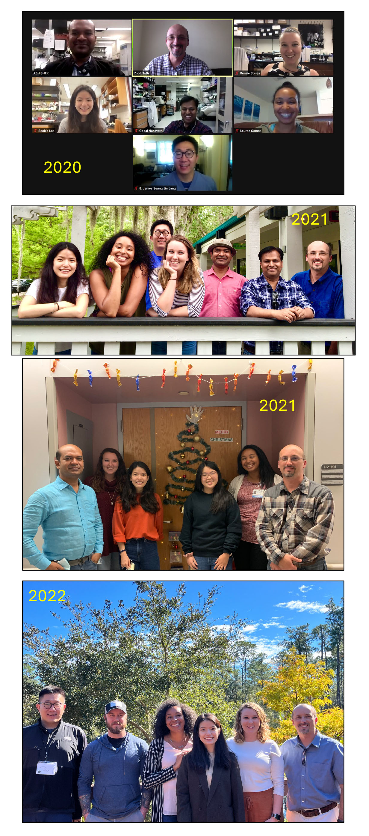 TEAM – Welcome to the Toth laboratory (PI: Zsolt Toth)